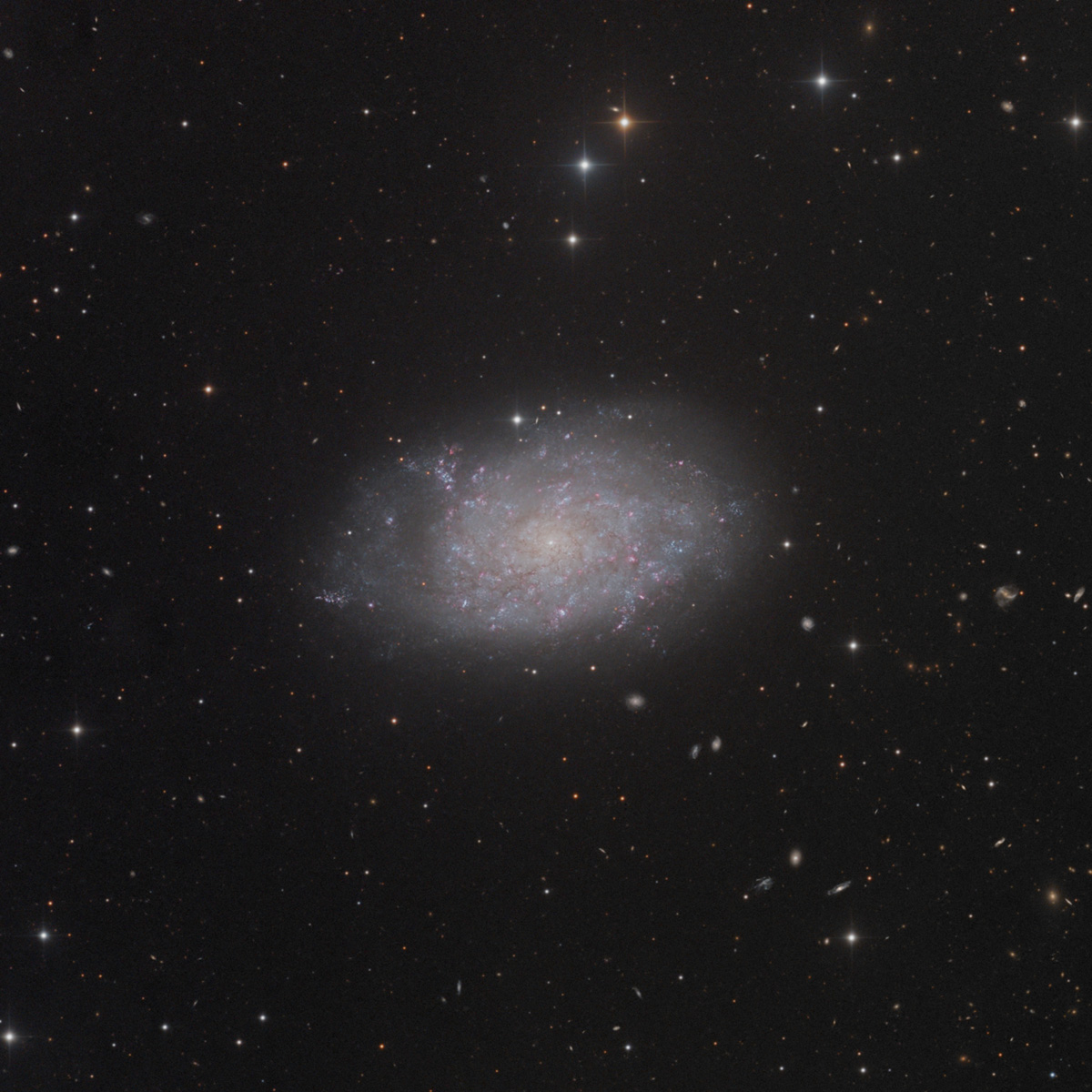 NGC 7793 - Experienced Deep Sky Imaging - Cloudy Nights